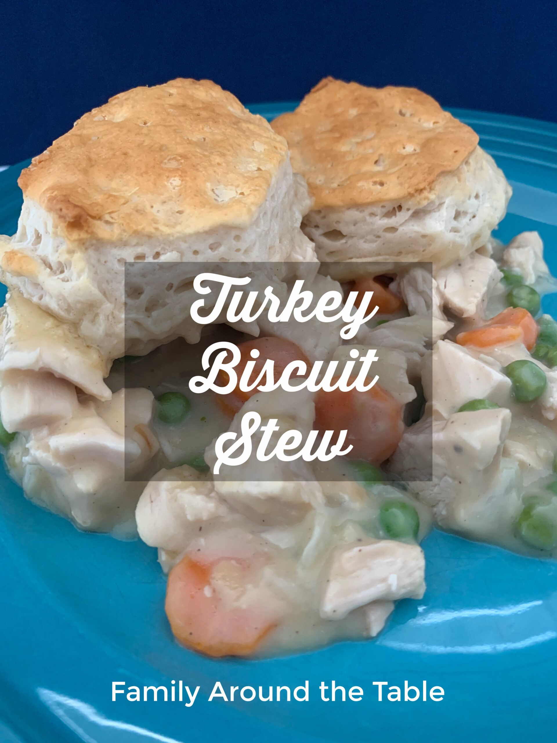 Turkey Biscuit Stew | Cozy Comfort Food | Use Leftovers
