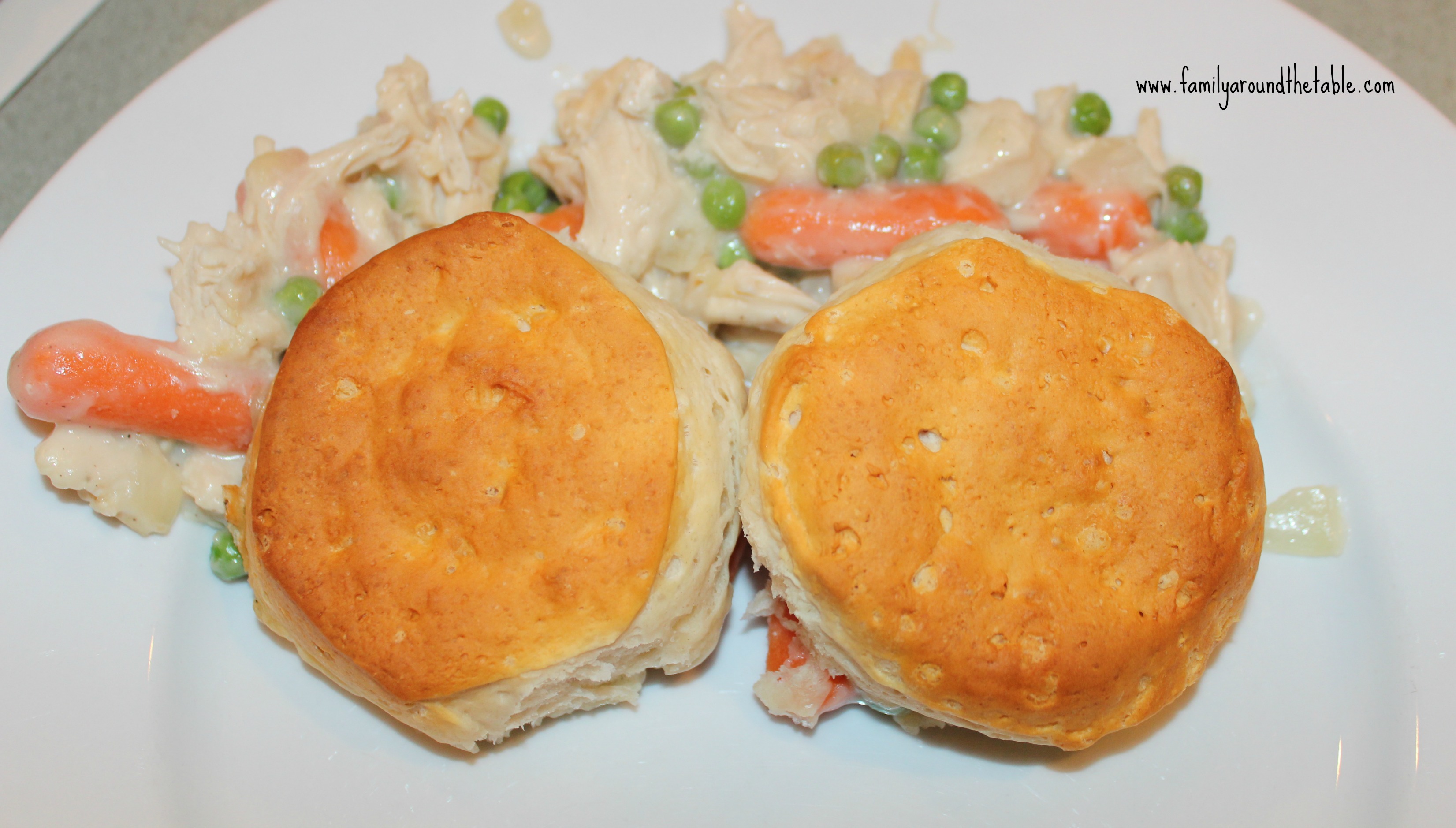 Turkey Biscuit Stew • Family Around the Table