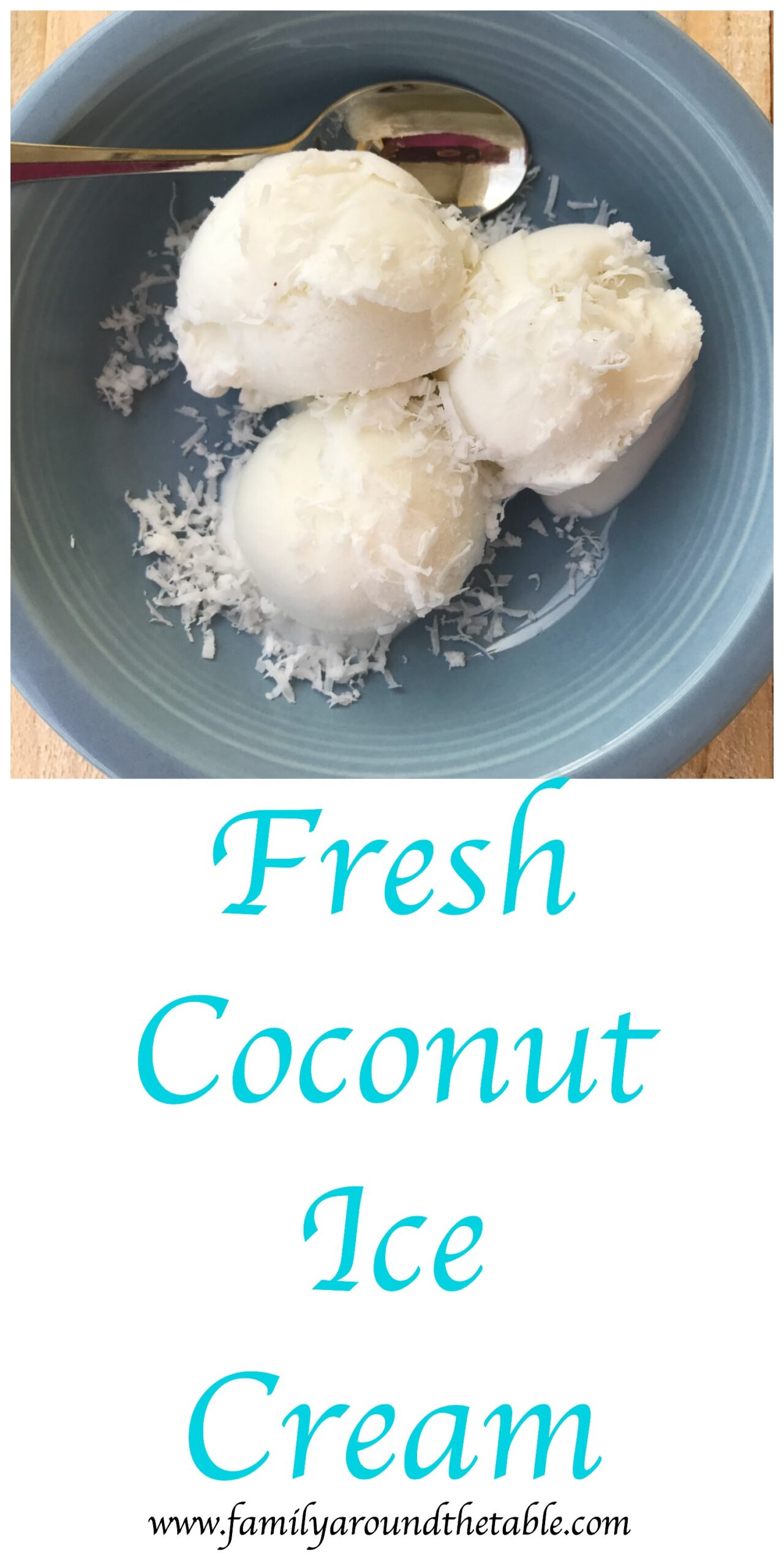 Fresh Coconut Ice Cream • Family Around the Table
