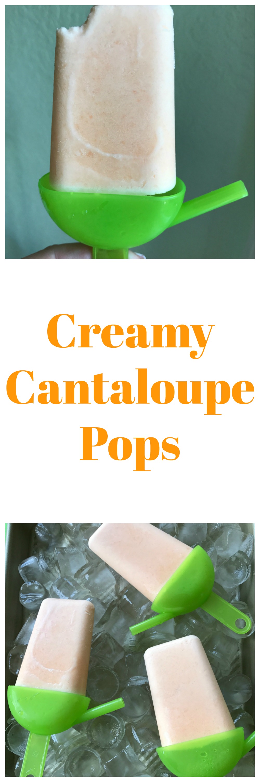 Creamy Cantaloupe Pops • Family Around the Table