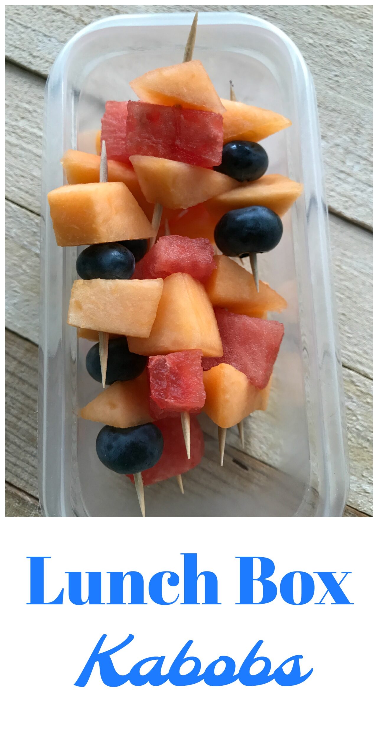 Lunch Box Kabobs • Family Around the Table