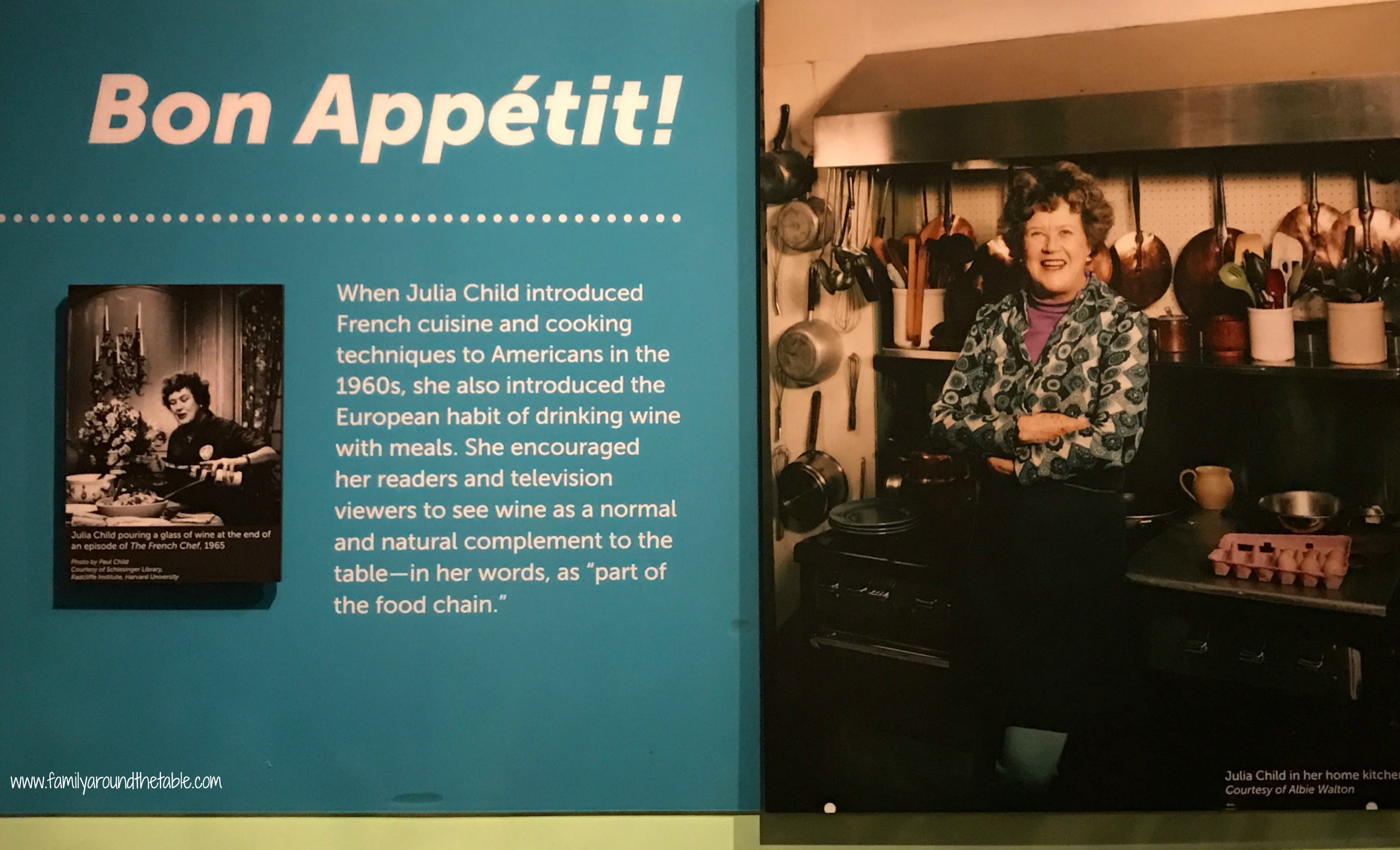 Roast Chicken with Lemon and Herbs - Julia Child's Recipe