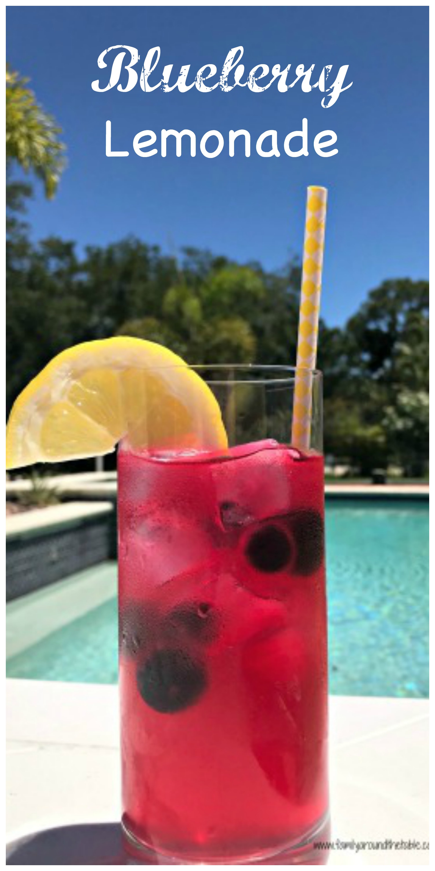 Fresh Blueberry Lemonade • Family Around the Table