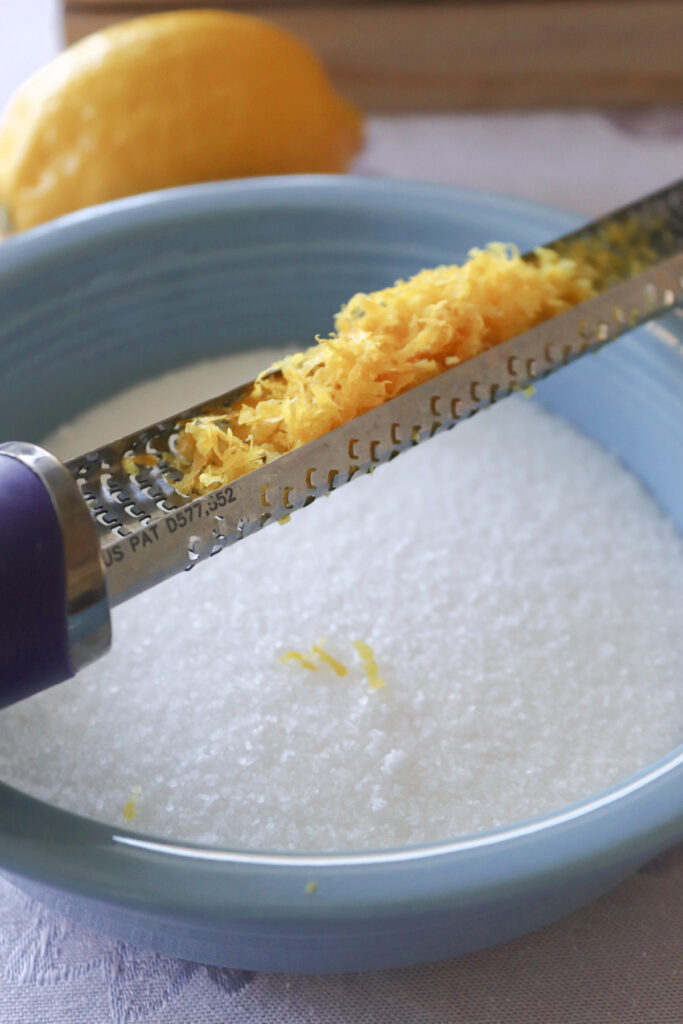 Easy 2 Ingredient Lemon Salt