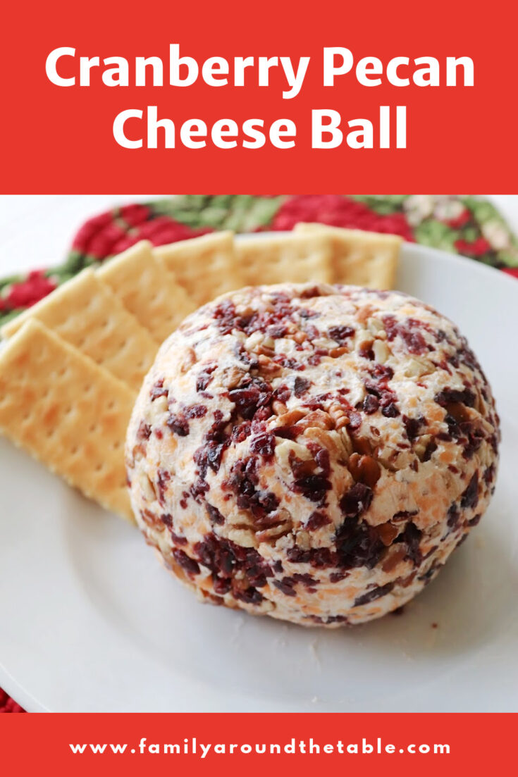 Delicious Cranberry Pecan Cheese Ball • Family Around the Table