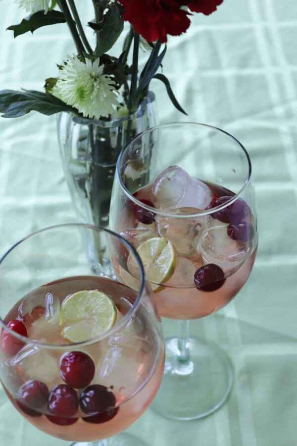 Festive Cranberry White Wine Spritzer • Family Around the Table