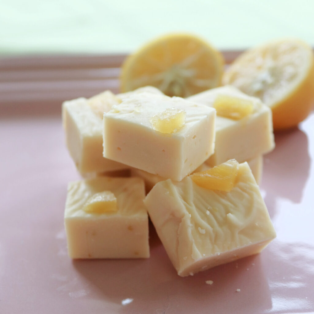 Key Lime Fudge - Taste the Tropics