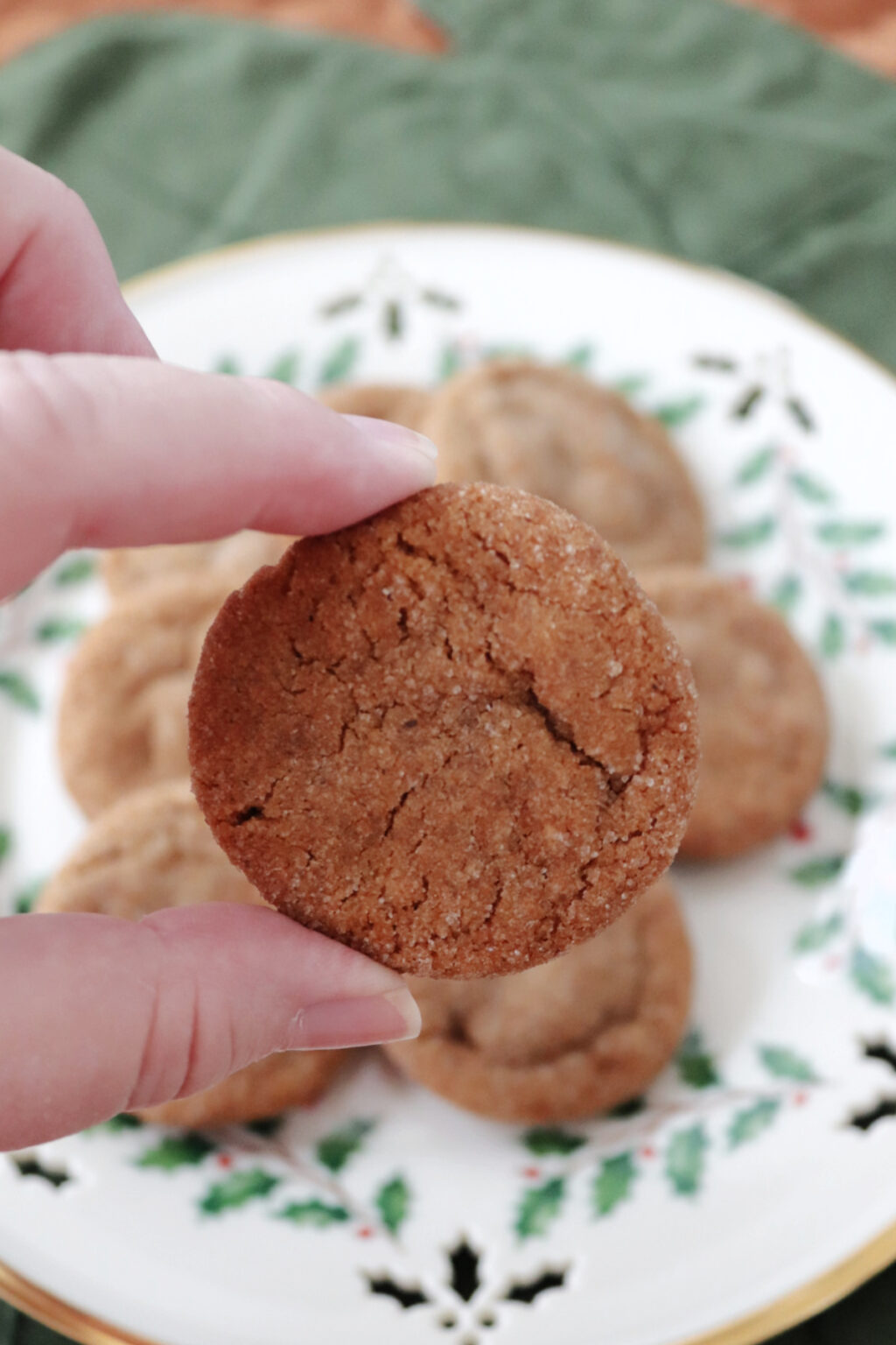 Cinnamon Spice Cookies