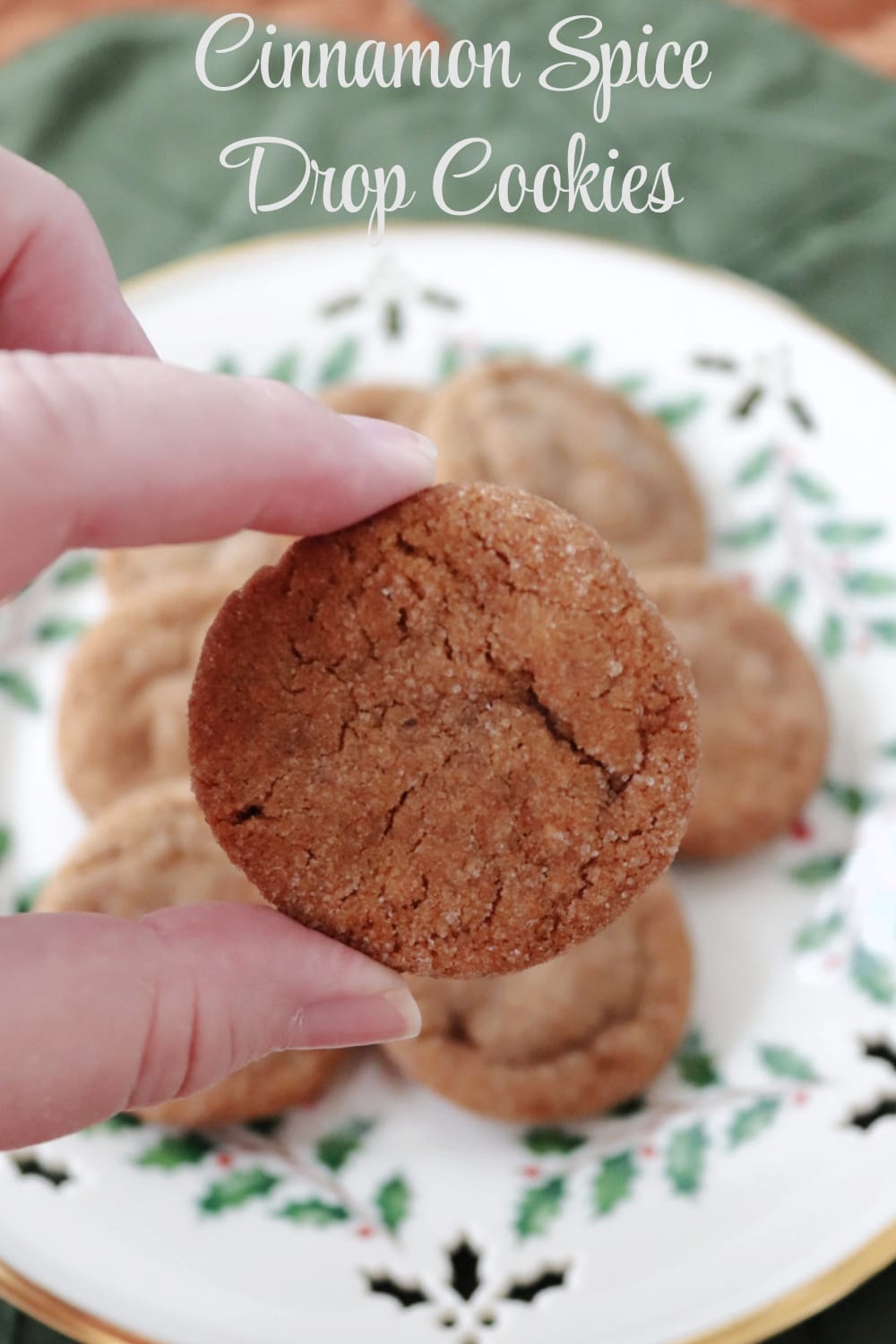 Cinnamon Spice Cookies