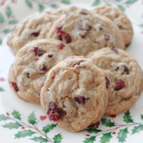 Chocolate Chip Dried Cranberry Cookies Recipe | Easy Recipe