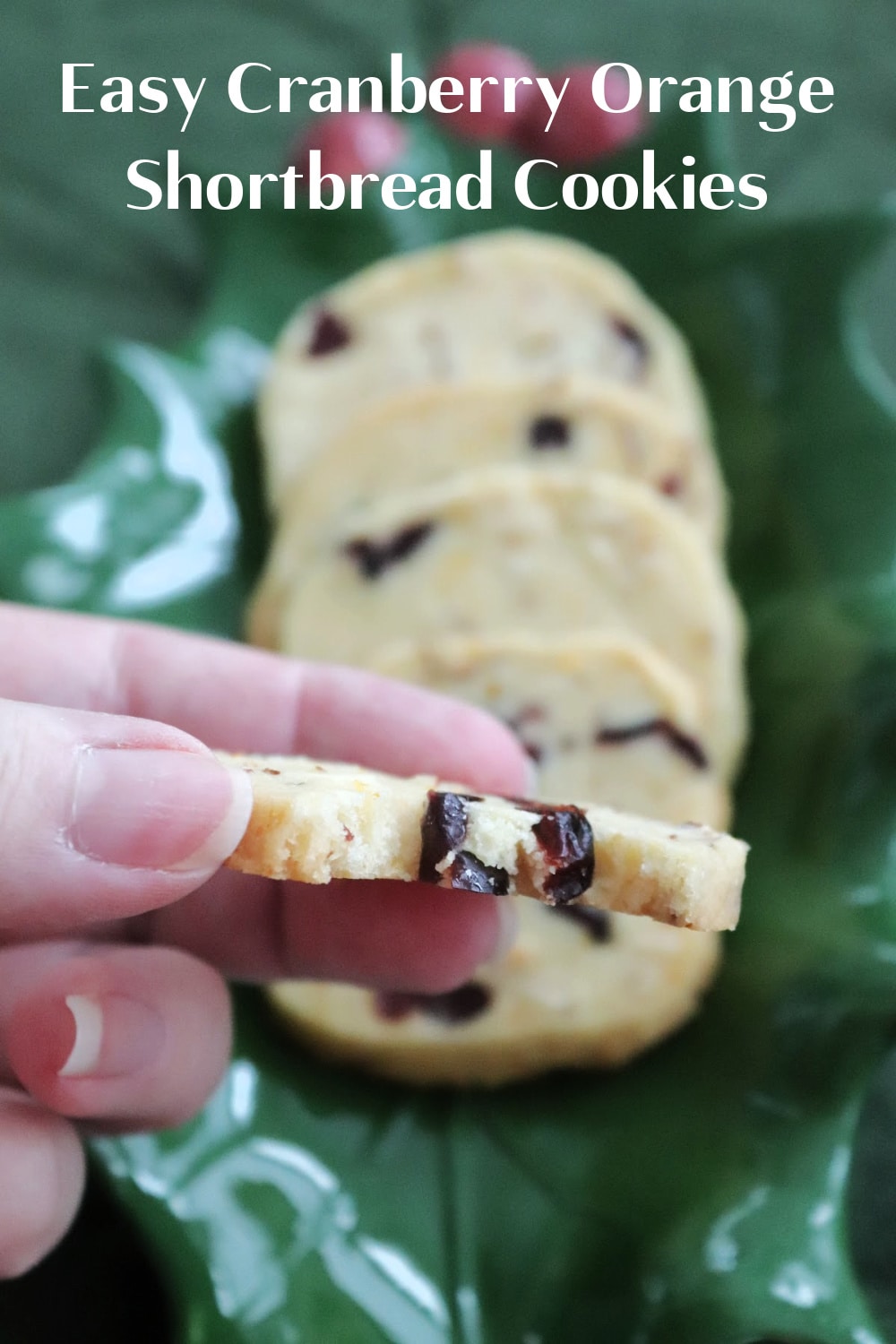Easy Cranberry Orange Shortbread Cookies Recipe