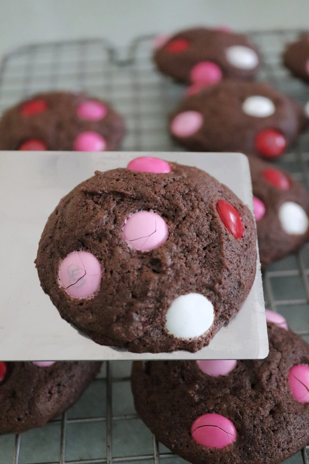 Valentine's Day M&M's Cookies | A Festive Treat